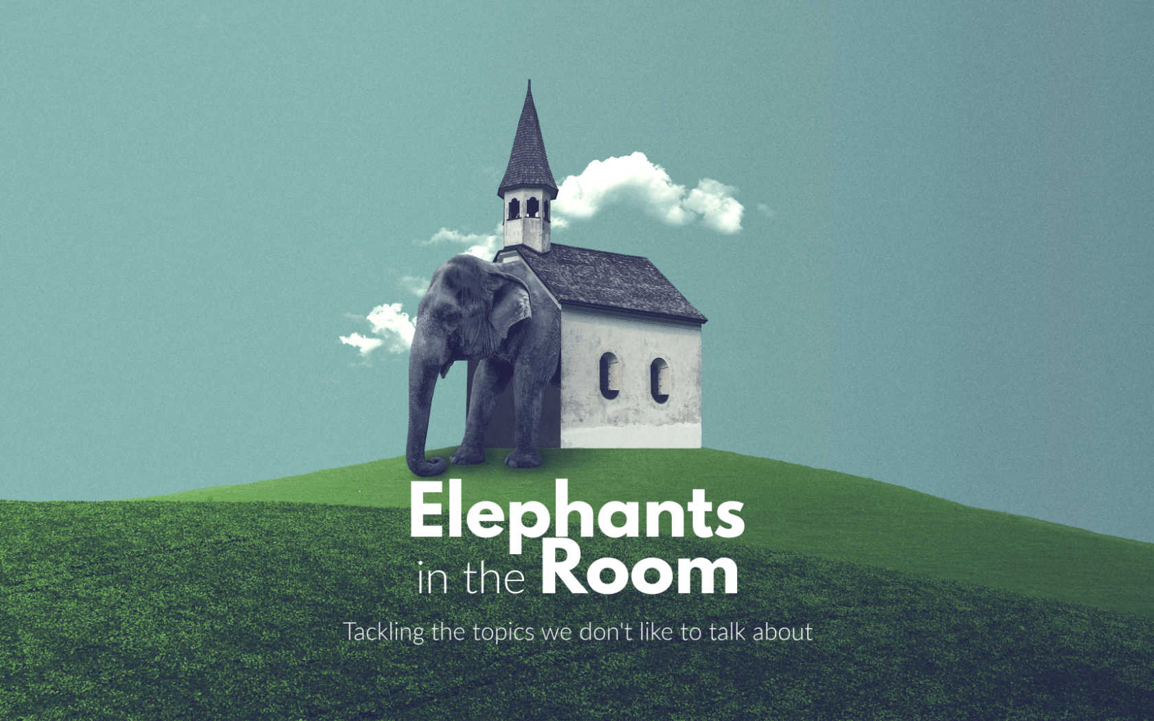 Elephants 2021 Part 1: Creation – VFC